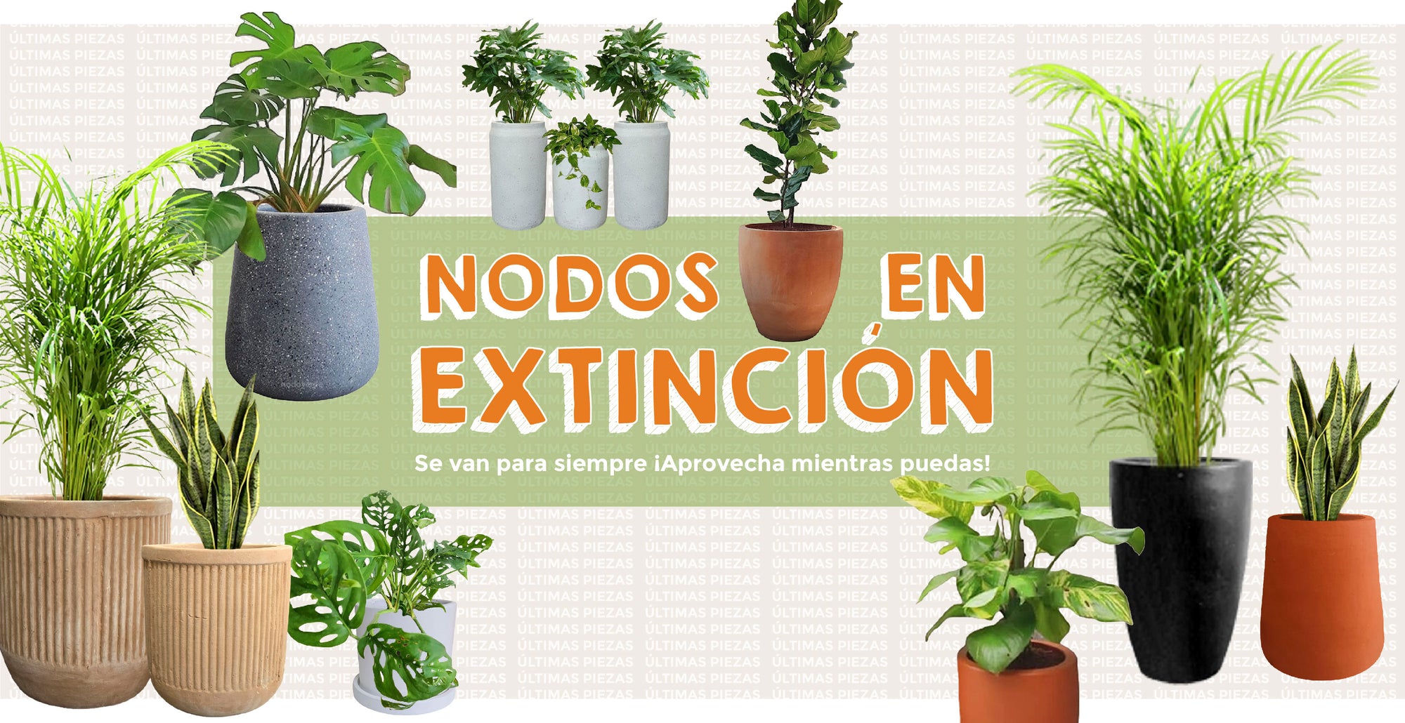 NODO VERDE - Macetas de Cerámica y Barro en Monterrey